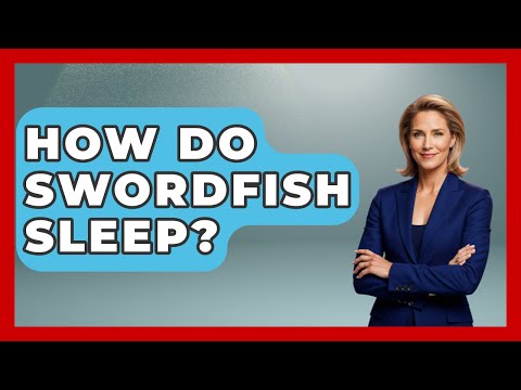 How Do Swordfish Sleep? - The Marine Life Explorer