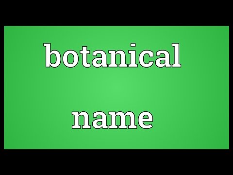 Botanical name Meaning