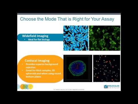 Jayne Hesley - Grischa Chandy - Multidimensional High Throughput Imaging with the New ImageXpress Mi