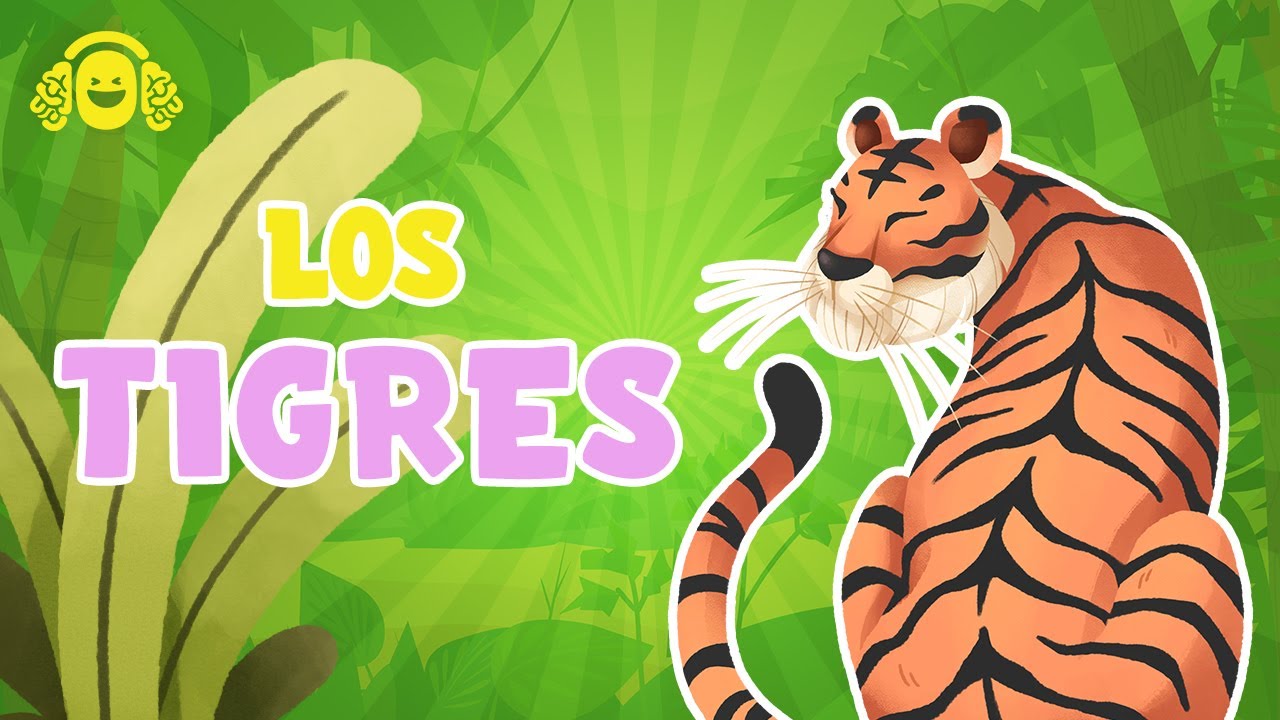 EL TIGRE .Vídeo educativo para niños.
