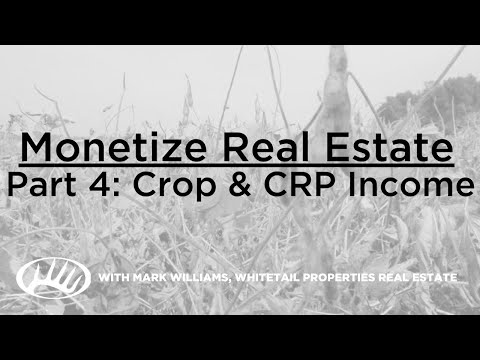 Monetize Real Estate: Part 4: Crop & CRP Income
