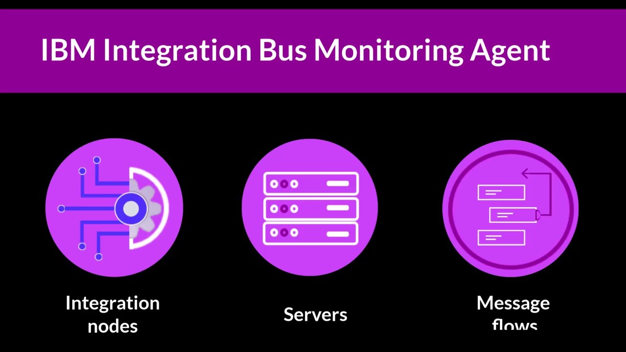 IBM® Integration Bus Monitoring Agent feature overview