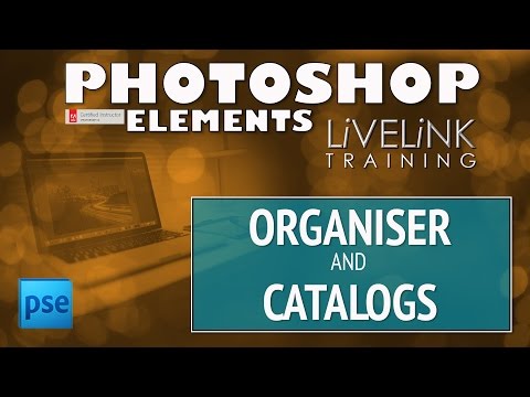 The Organiser and Catalogs
