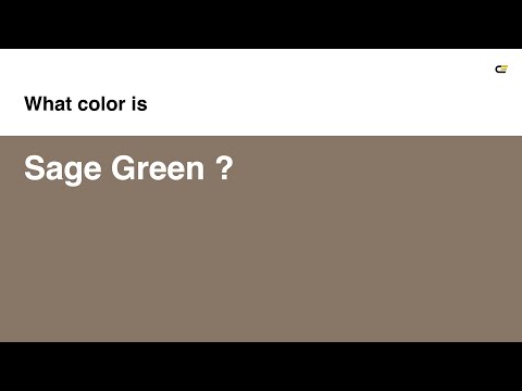 Sage Green color #887766 hex color - Brown color - Cool color 887766
