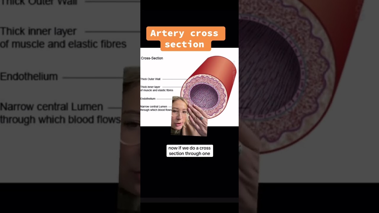 Why Does Blood Splatter? #shorts