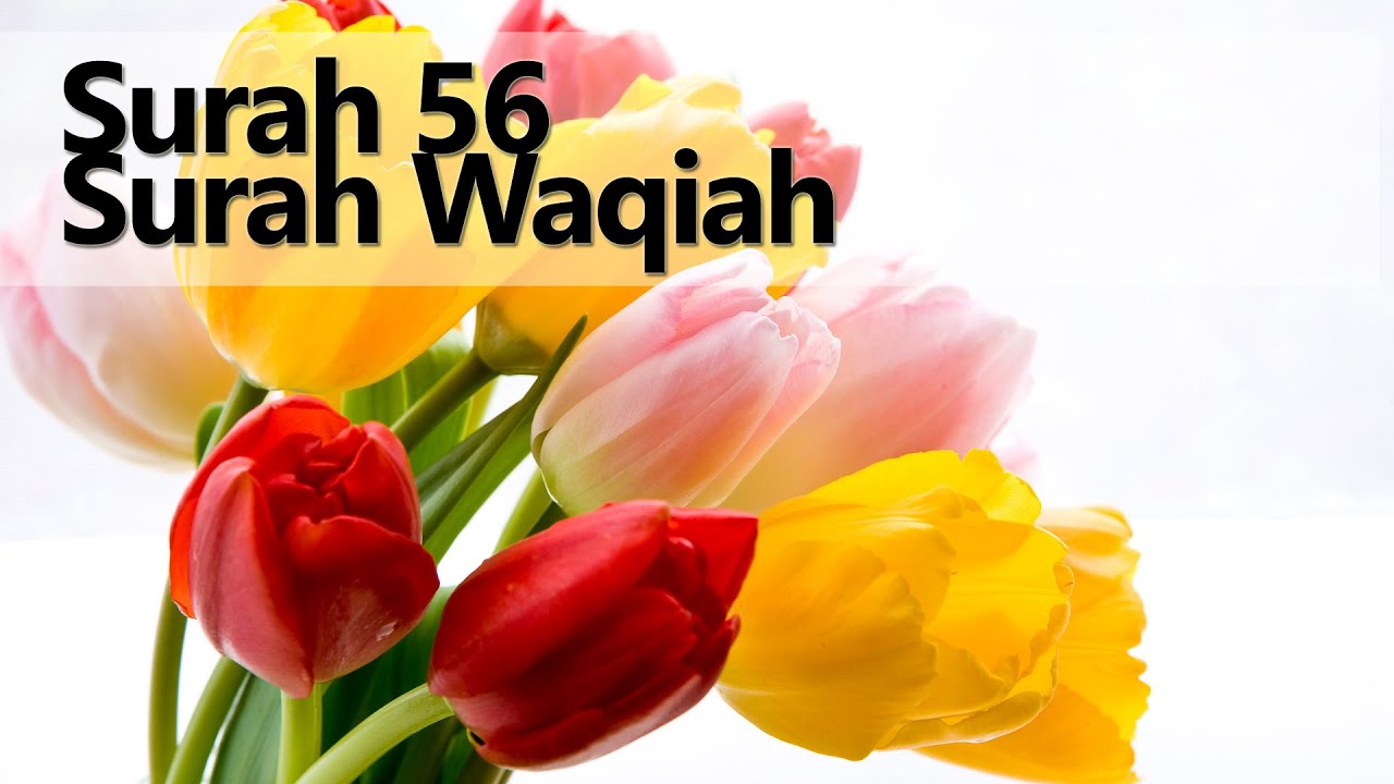 Quran 56 Surah Waqiah Recitation by Mishary Rashid Alafasy