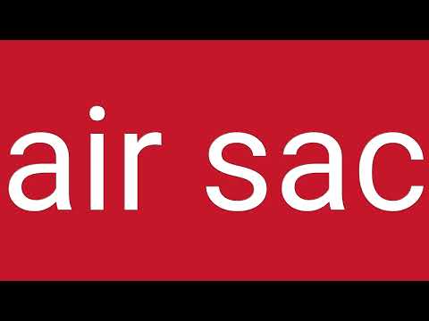 Air Sac Definition & Meaning