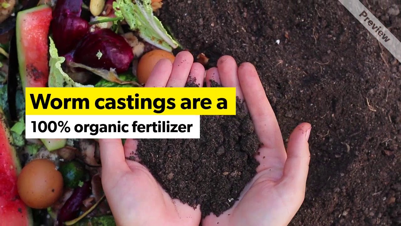 Jim's Earthworm Poop | F6S