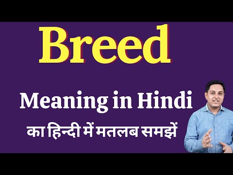 Breed meaning in Hindi | Breed ka kya matlab hota hai | daily use English words