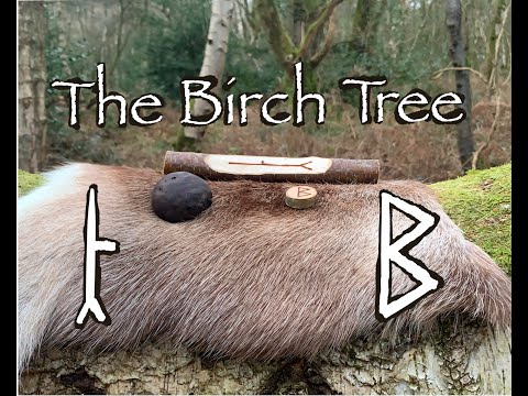 Birch. Folklore, Mythology and Symbolism of the Birch Tree.