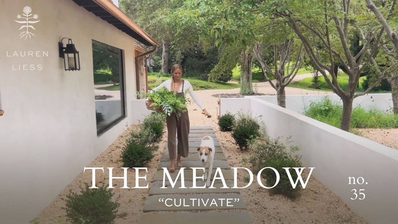 Slow Living in the Meadow House | The Meadow Ep. 35