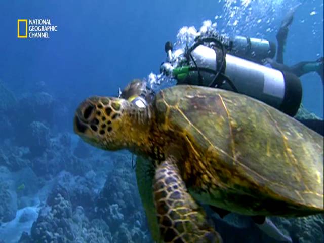 MagPrime Pro – Just another WordPress site