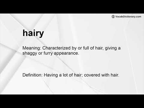 hairy Meaning