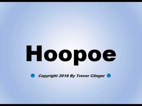 How To Pronounce Hoopoe