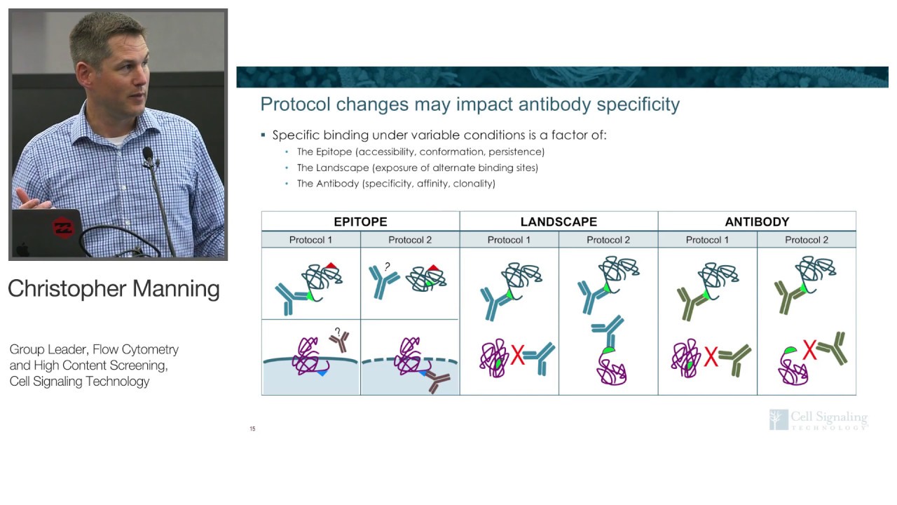 Mastering Phospho Flow: Optimizing Immune Cell Activation Assays
