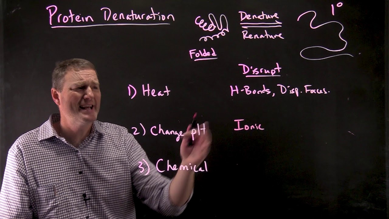 Protein Denaturation