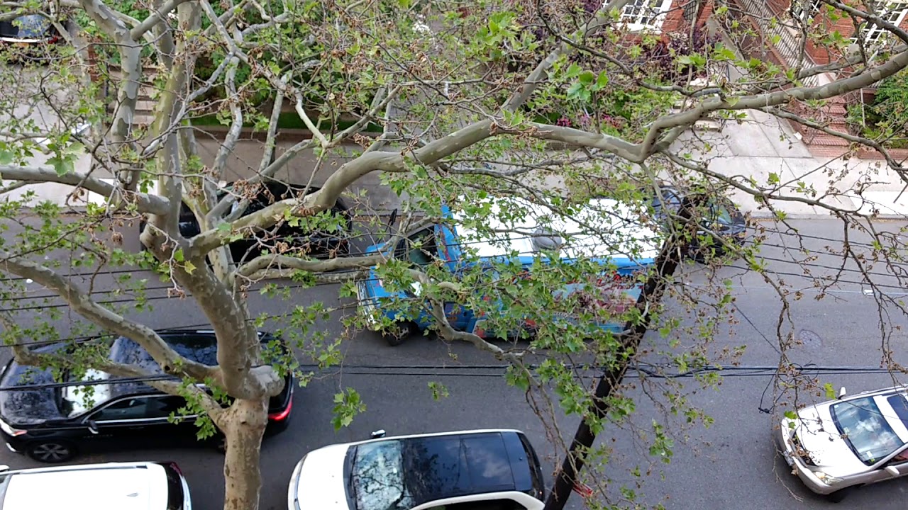 Kosher Ice Cream Truck Tune