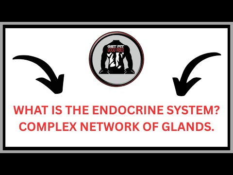 What Is The Endocrine System ? Complex Network of Glands | GFGV