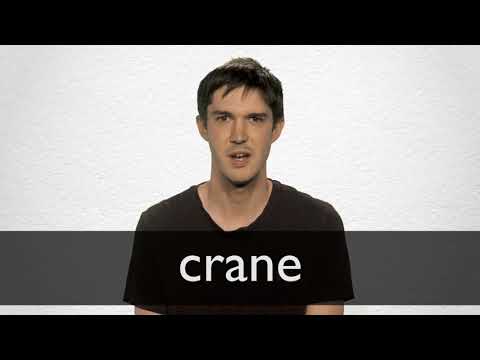 How to pronounce CRANE in British English