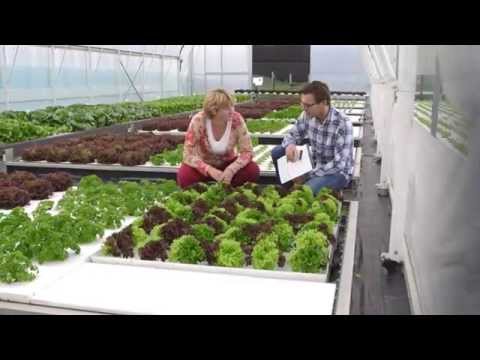 Seed meets Technology 2015 - impression