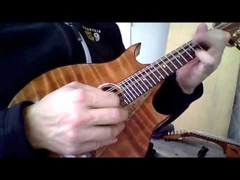 Old Wave mandolin C# model recent; SN 500; Redwood over koa | Reverb