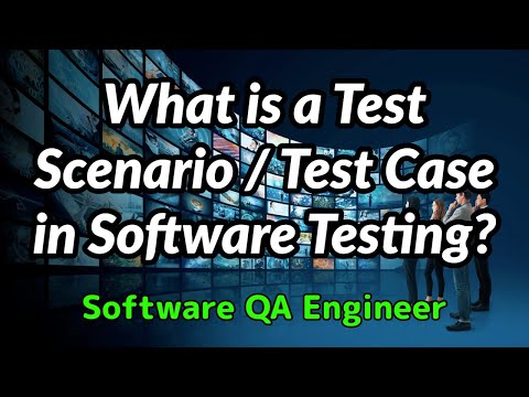 What is a Test Scenario / Test Case in Software Testing?