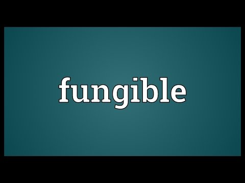 Fungible Meaning