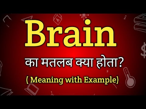 Brain Meaning in Hindi | Brain Ka Matlab kya Hota hai| English to Hindi dictionary