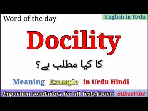 Docility Meaning in Urdu
