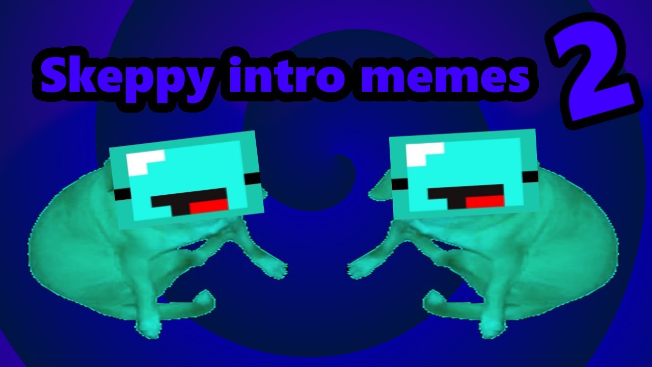 Skeppy's intro Memes 2