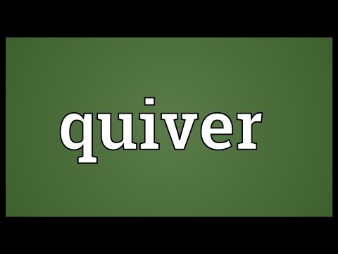 Quiver Meaning