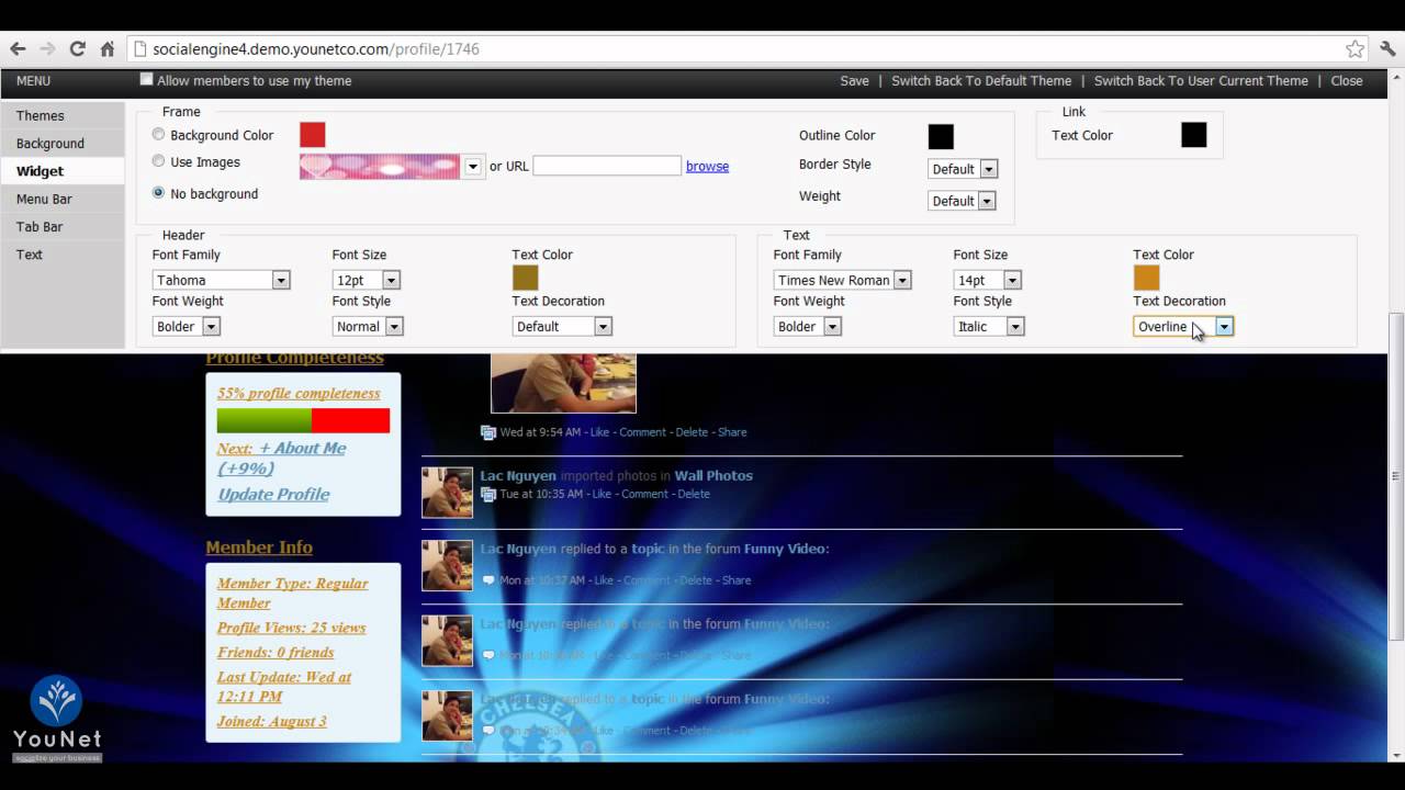 SocialEngine - Profile Styler