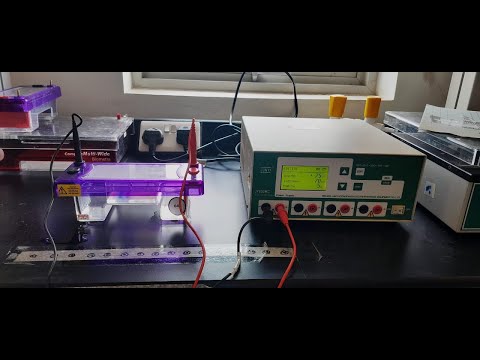 Master Agarose Gel Electrophoresis: Step-by-Step Guide for DNA Analysis | Biology Beacon