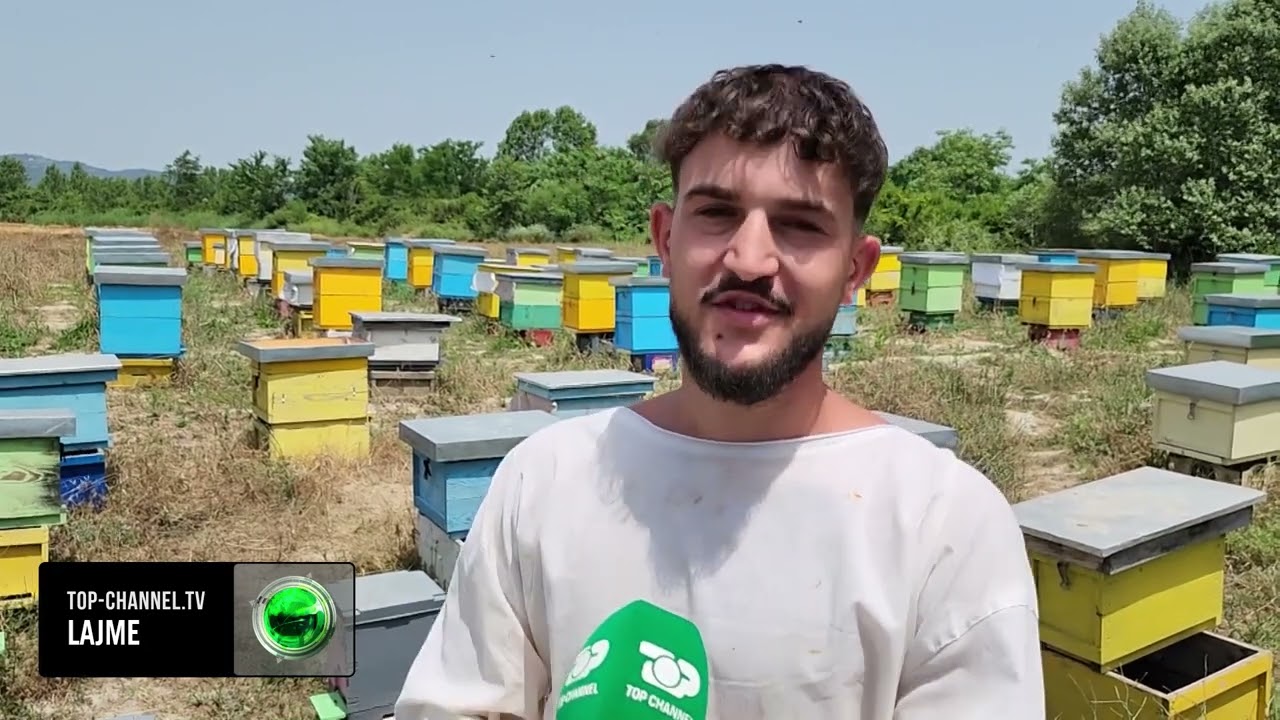 Top Channel/ Bletërritësit e rinj! Tre të rinjtë nga Cakrani kanë ... Top Channel/ Bletërritësit e rinj! Tre të rinjtë nga Cakrani kanë ...