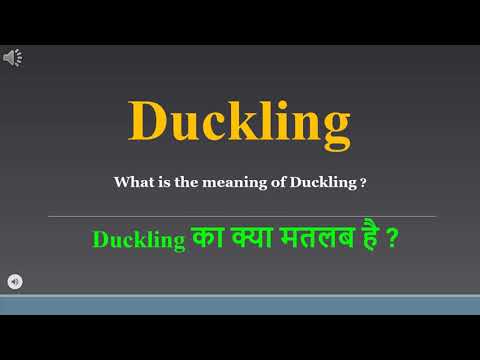 Duckling meaning in Hindi | Duckling ka kya matlab hota hai | daily use English words