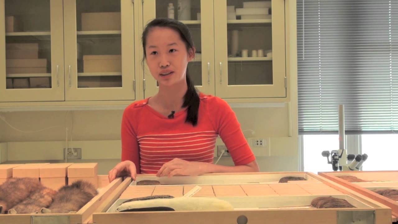 YES Program - Career Spotlight