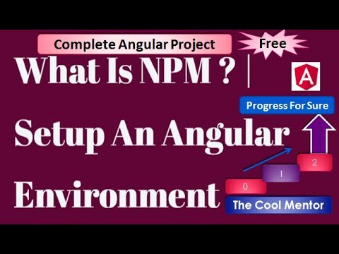 Angular fundamentals | What Is NPM ? | Setup An Angular Environment