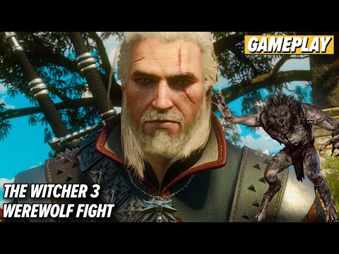 The Witcher 3: Dos and Don’ts For Fighting Werewolves | PoGo Portal