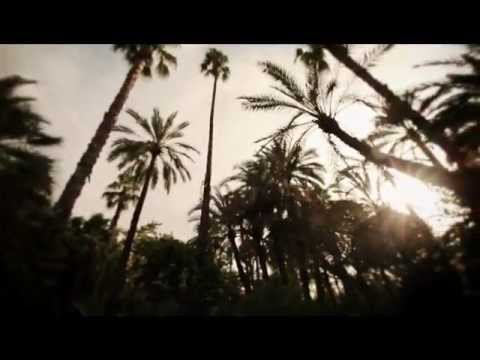 Expérimente Marrakech – Andalous Express Voyages