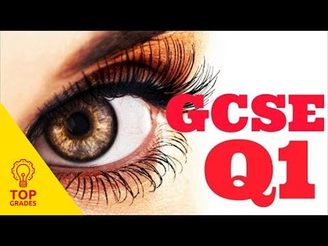Get 100% on Paper 2 Question 1 Cambridge IGCSE Reading Paper (0522 and 0500)