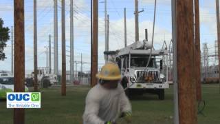 Working At OUC: Company Overview and Culture - Zippia