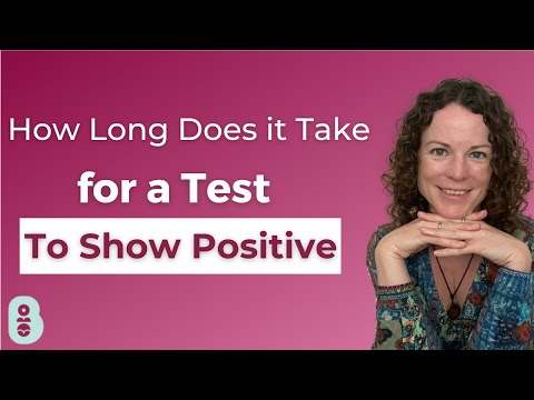 How Long Does it Take for a Pregnancy Test to Show Positive