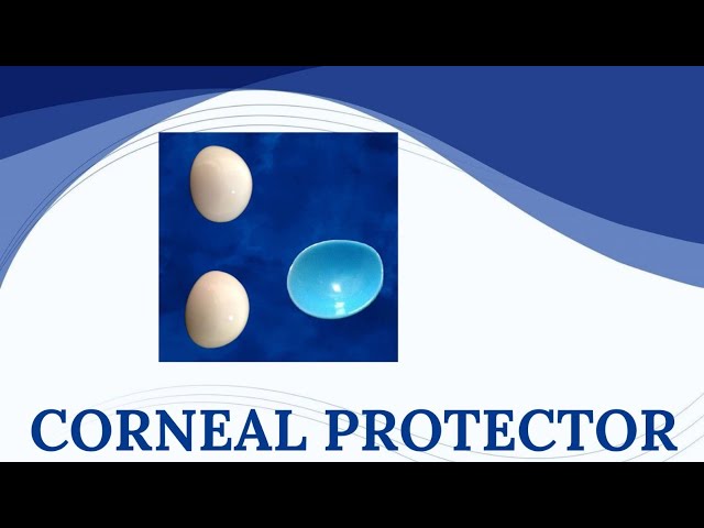 Cornea and Keratoplasty Products - Artificial Anterior Chamber Cornea ...