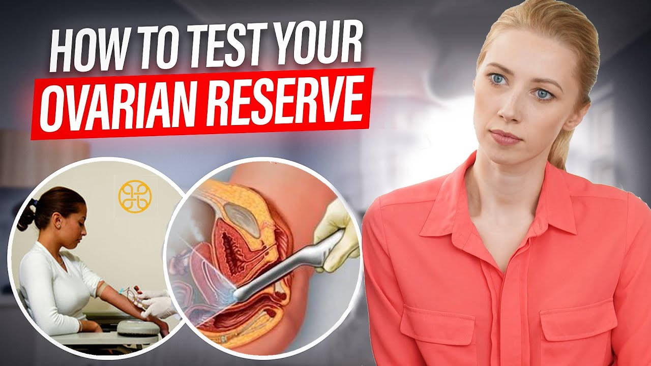 Fertility Expert reveals the BEST way to test your ovarian reserve in 2024