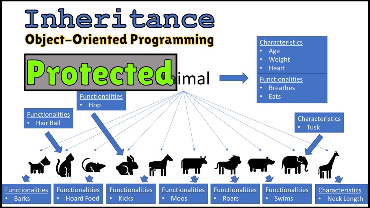 How Access Modifiers Work with Inheritance in Object Oriented Programming | Protected Access