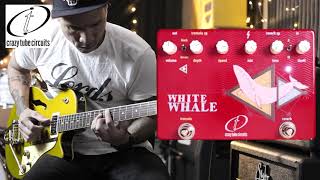 Crazy Tube Circuits White Whale - What To Know & Where To Buy | Equipboard