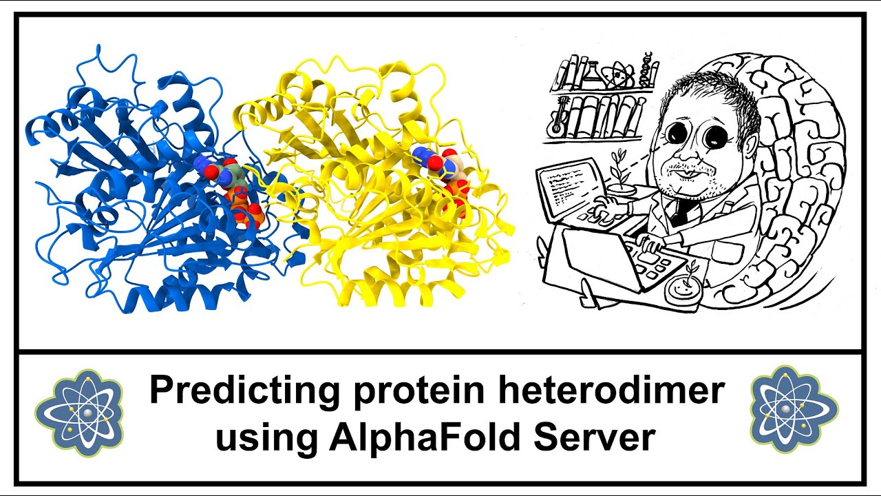 Predicting protein heterodimer using AlphaFold Server