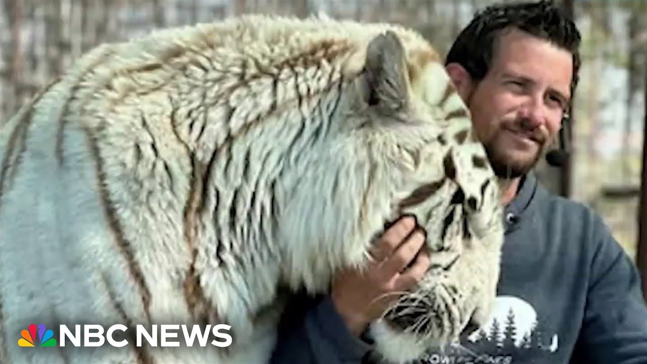 Handler fatally mauled by tiger at Oklahoma reserve