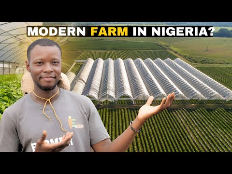 How He Makes Millions from BELL PEPPER Farming in Africa