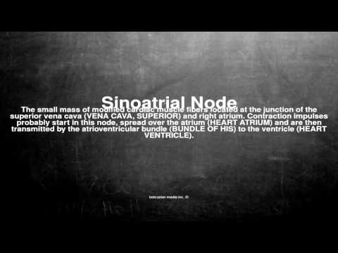 Medical vocabulary: What does Sinoatrial Node mean